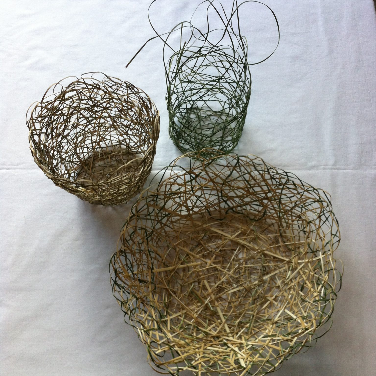 ARTIST PROFILE – Lynn Lochrie – Great Alpine Gallery